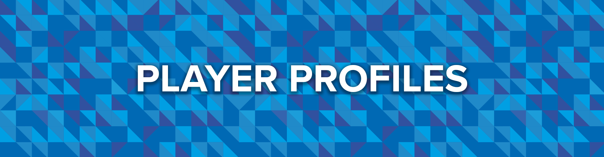 PLAYER PROFILES | Sussex Cricket